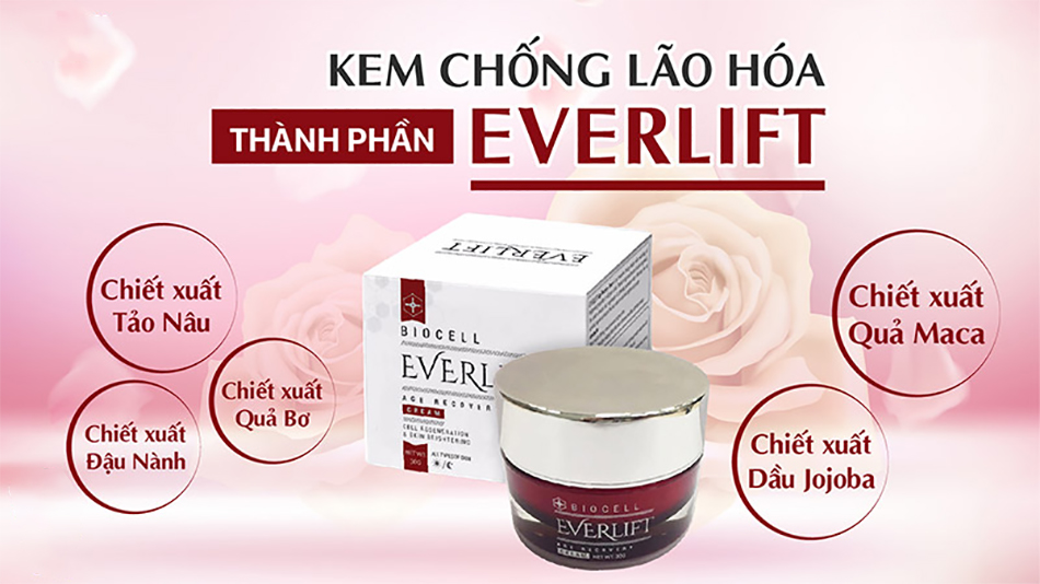[CHÍNH HÃNG] Kem chống lão hoá Everlift Cream - Mãi mãi tuổi xuân